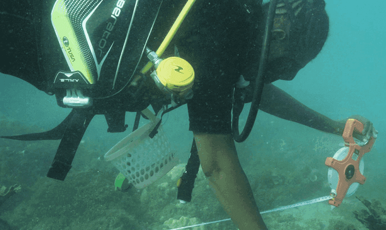 Turning the tide: Supporting Kenya’s first female Reef Ranger ...